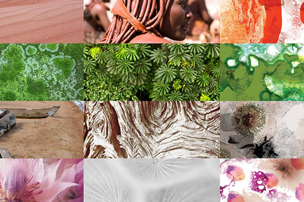 Africa Facts: Welcome Home | Malée Natural Science