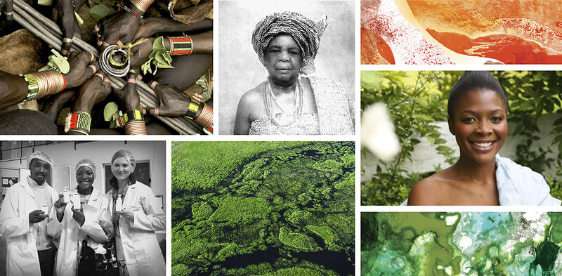 7 African Ingredients and Rituals for Healthy and Flawless Skin | Malée